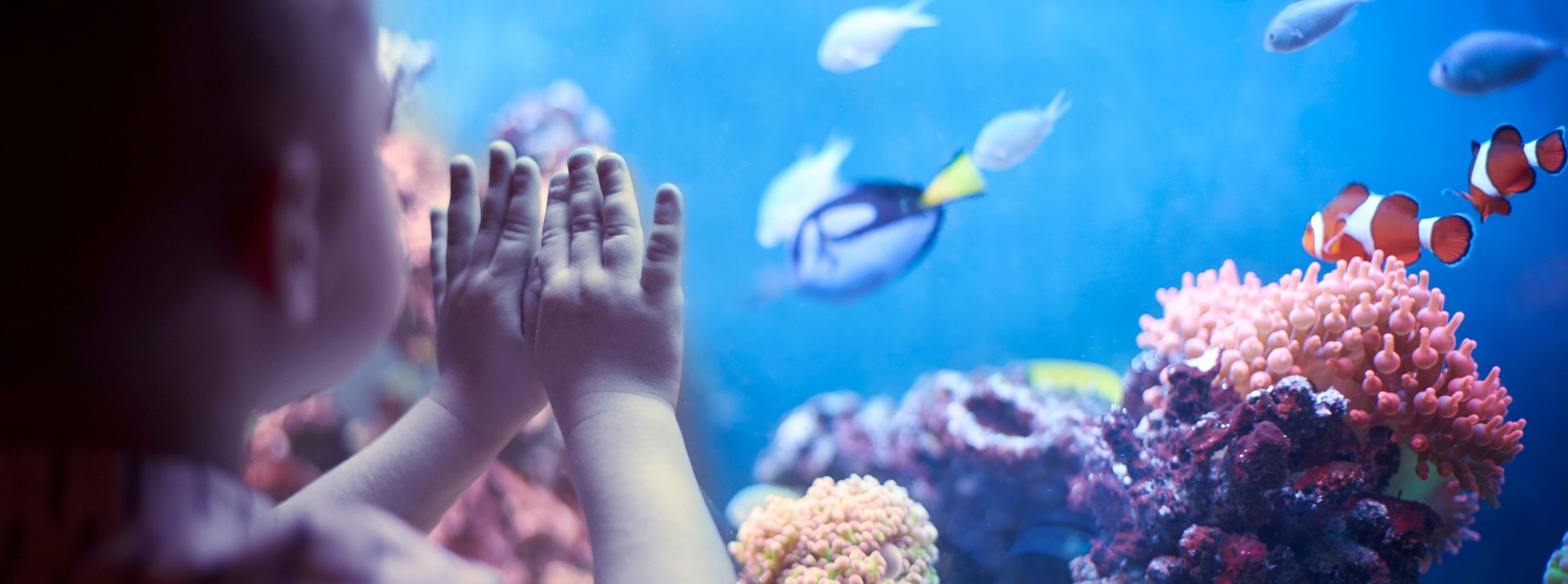Blue Planet – The Autism Hub